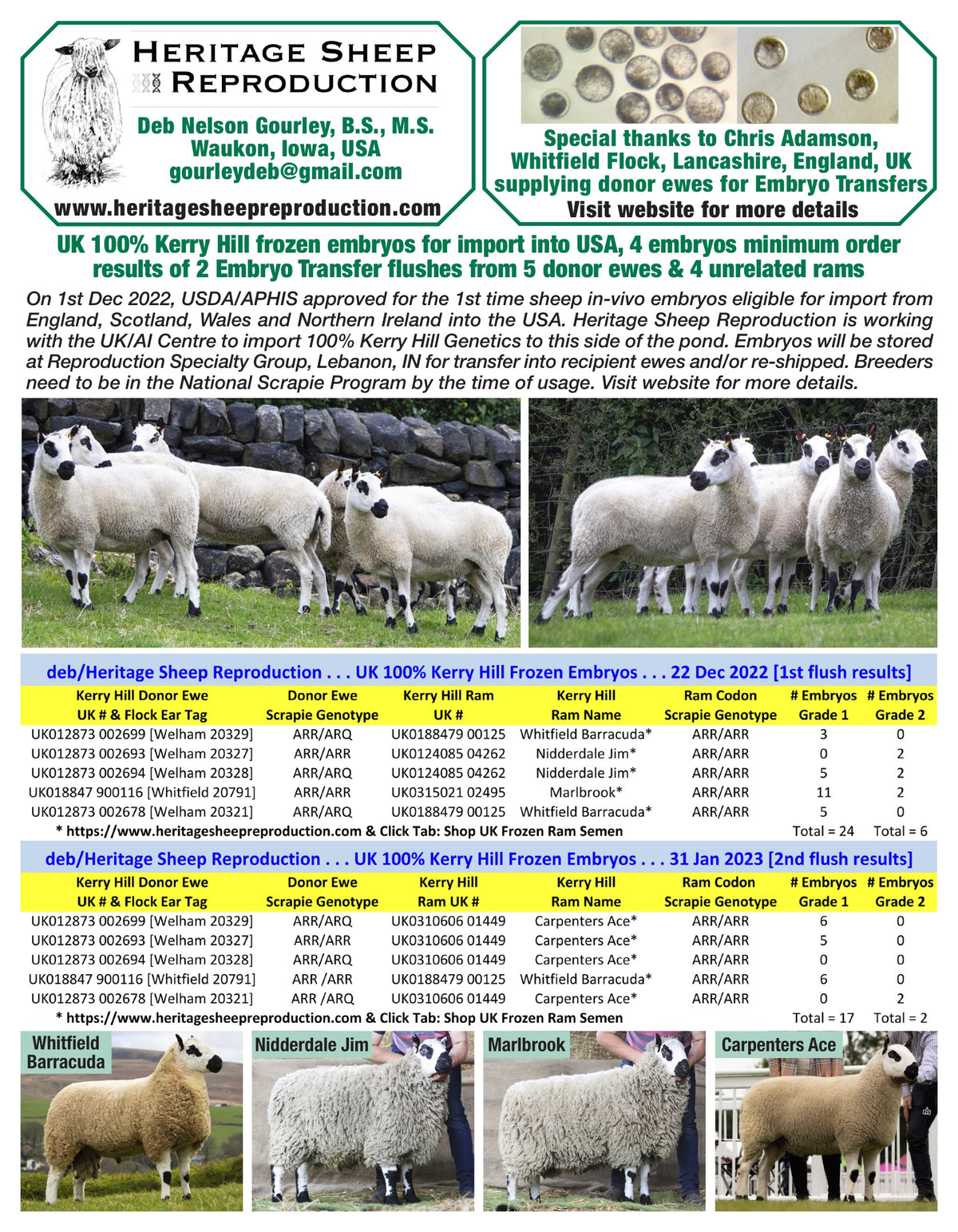 Kerry Hill 100% UK Embryos from 5 Donor Ewes & 4 Rams - Tank #6 - Embr ...