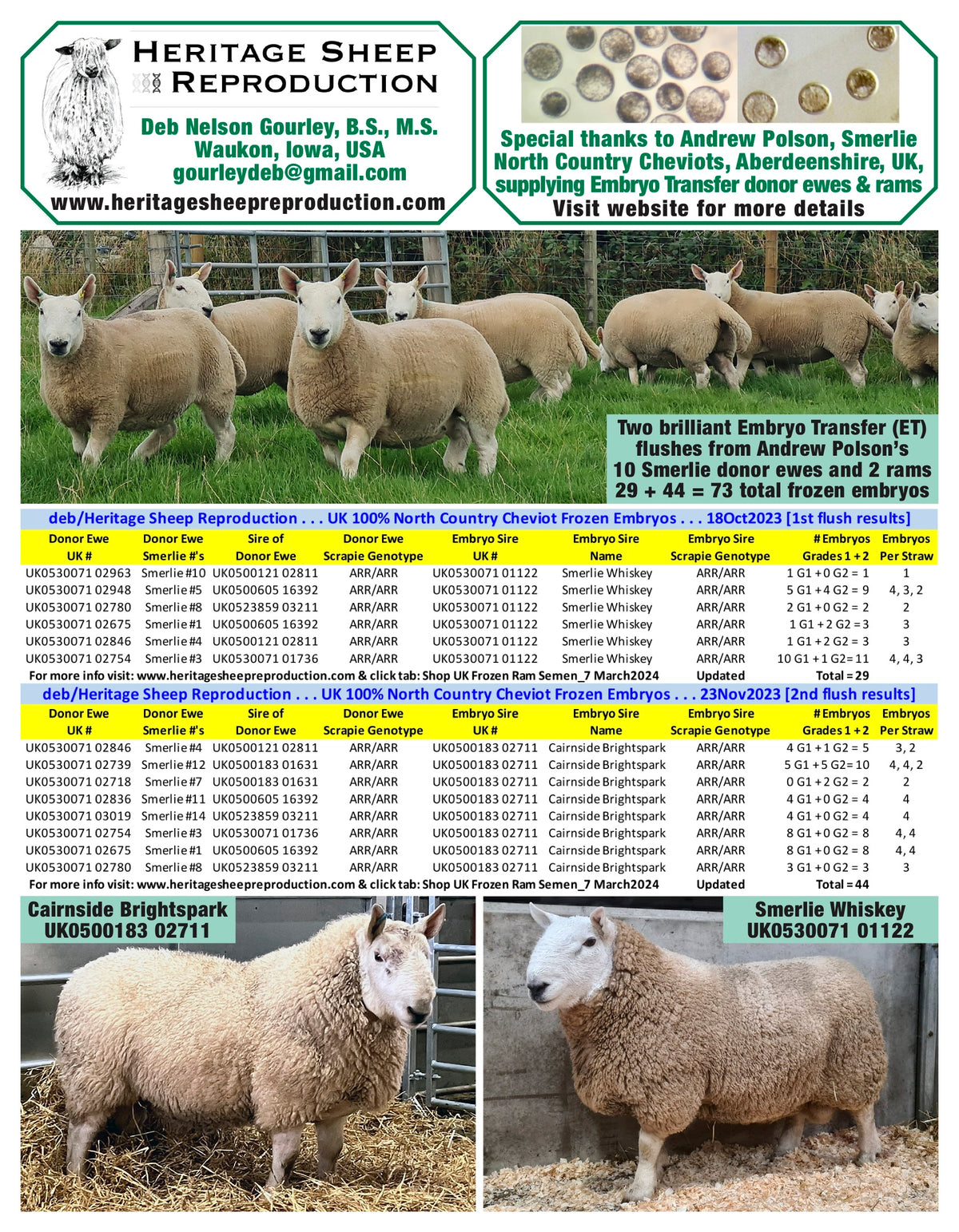 Heritage Sheep Reproduction works with the USA and UK sheep industry