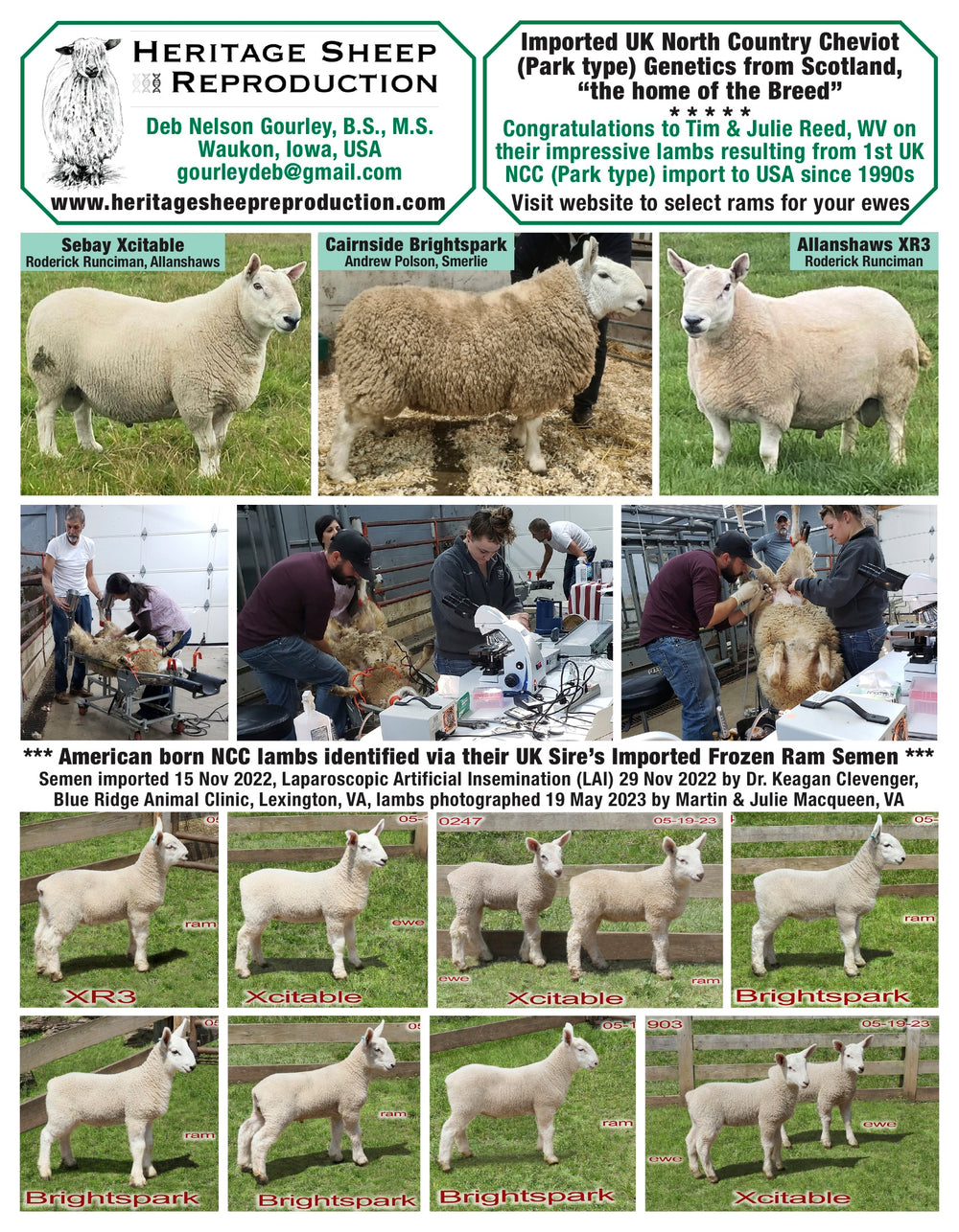 Products Page 2 - Heritage Sheep Reproduction